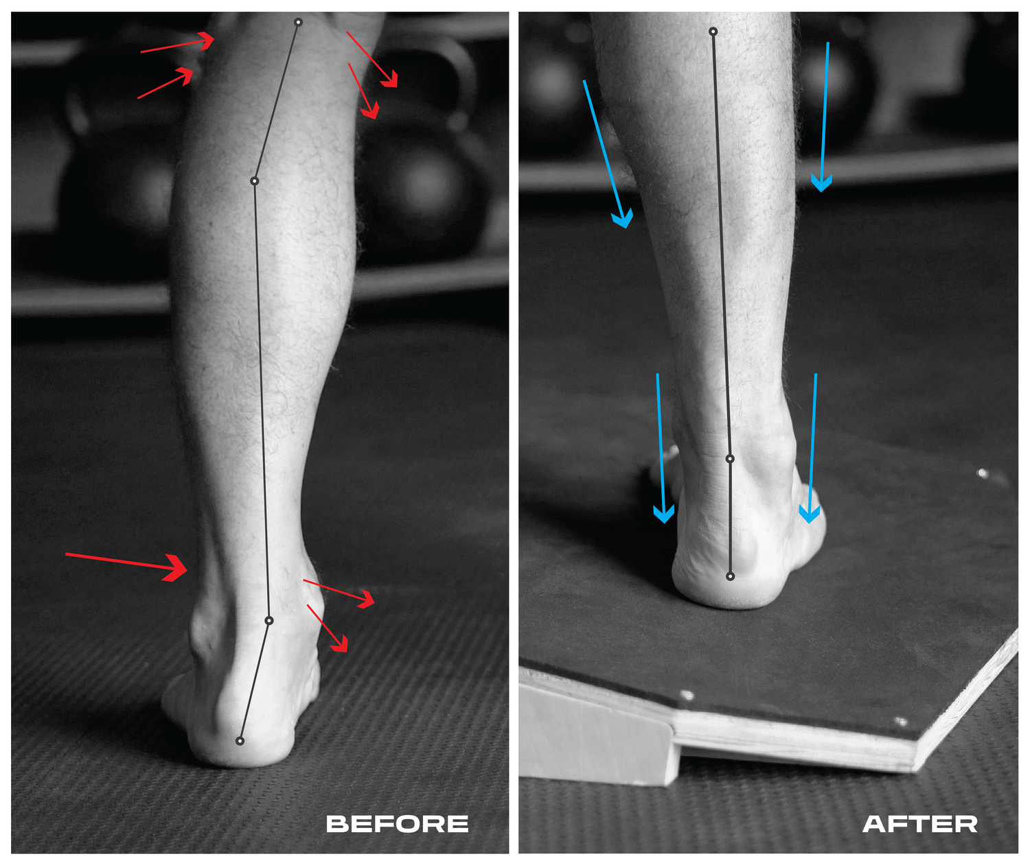 The Deck (Prototype) – WeckMethod